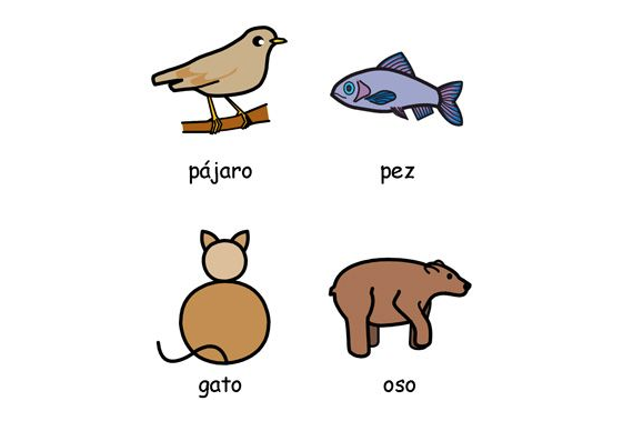 ¿Qué animal es? - El blog de Qinera